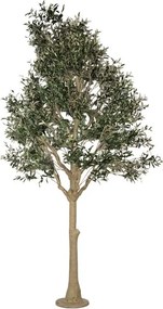 Dekorační strom olivovník s olivami Olea Tree - 170*150*320 cm