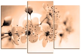Obraz na plátně - Malé květy na větvi 1173FC (105x70 cm)