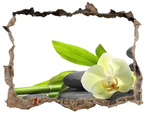 Wallmuralia Samolepící díra nálepka Orchidej 95x64 cm