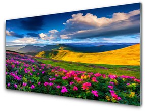 Obraz na skle Louka Květiny Příroda 140x70 cm