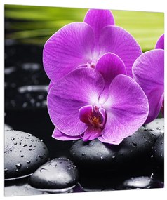 Obraz orchidejí (30x30 cm)