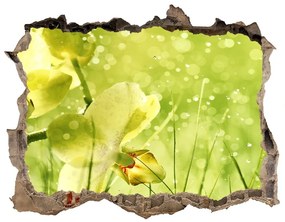 Wallmuralia Samolepící díra nálepka Orchidej 95x64 cm