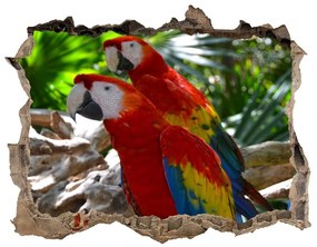 Wallmuralia Díra 3D fototapeta nálepka Papoušek Ara 95x64 cm