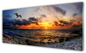 akrylový obraz Racek Moře Pláž Krajina 125x50 cm