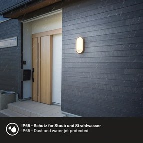 Brilo - LED Venkovní nástěnné svítidlo se senzorem RUCH LED/12W/230V IP65 černá