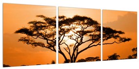 Obraz africké savany (90x30 cm)