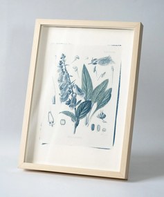 Botanická fotografie na zeď - Náprstník - 21 x 30 cm (A4) / s rámem