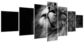 Černobílý obraz lva (210x100 cm)