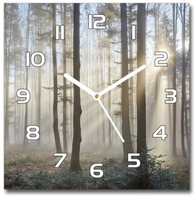Wallmuralia Skleněné hodiny na stěnu Mlha v lese 30x30 cm