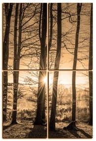 Obraz na plátně - Podzimní ráno v lese - obdélník 7251FE (120x80 cm)