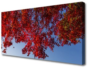 Obraz na plátně Strom Listy Větve Příroda 140x70 cm