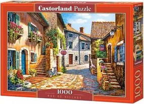 Castorland 103669 Cesta ve vesnici / 1000 dílků / od 9 let