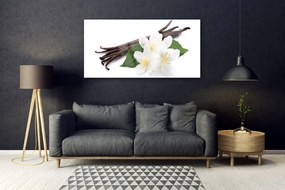 Plexisklo-obraz Tyčinka Vanilky do Kuchyně 120x60 cm