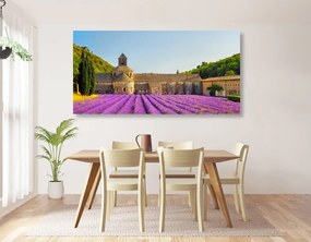 Obraz Provence s levandulovými poli Varianta: 120x60