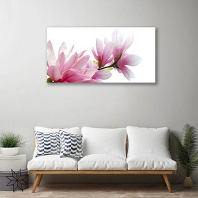 Obraz na plátně Magnolie Květ 100x50 cm