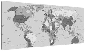 Mapa světa - obraz (100x40cm)