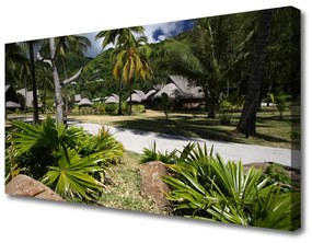 Obraz na plátně Listy Palmy Stromy Příroda 120x60 cm