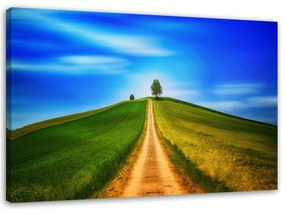 Gario Obraz na plátně Cesta na kopec Rozměry: 60 x 40 cm