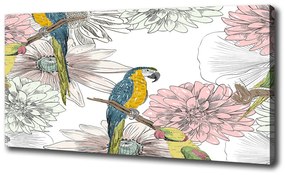 Wallmuralia Foto obraz na plátně Papoušci a květiny 100x50