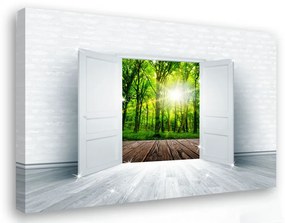 Malvis ® Obraz na zeď - výhled do lesa Velikost: 90x60 cm
