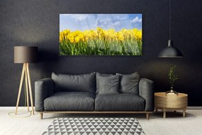 Plexisklo-obraz Tulipány Květiny Rostlina 120x60 cm