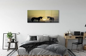 akrylový obraz Polní sunset jednorožci 120x60 cm