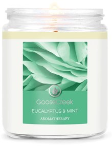 Goose Creek Candle svíčka Eucalyptus & Mint, 198 g