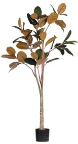 Rubber umělá rostlina zelená 170 cm