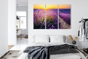 Vícedílný obraz Levandulové Pole Při Západu Slunce 3D Nedostatek Nedostatek Plátno Canvas 120x80