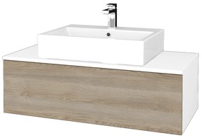 Dřevojas Koupelnová skříňka MODULE SZZ1 100 Varianta: N01 Bílá lesk / D08 Wenge