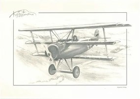 Historický letoun v oblacích - 29,7 x 42 cm