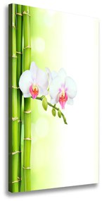 Wallmuralia Vertikální Foto obraz na plátně Orchidej a bambus 50x100