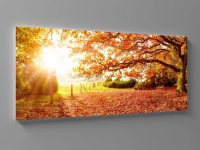 Liox XXL Obraz podzimní krajina Rozměr: 250 x 125 cm