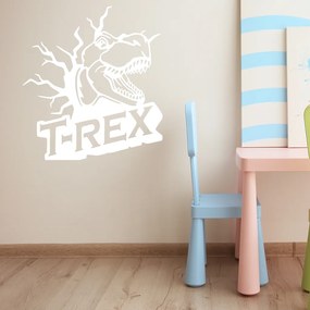 Živá Zeď Samolepka na zeď Dinosaurus T-REX Barva: černá