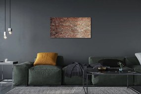 Obrazy na plátně Cihlové zdi wall 120x60 cm