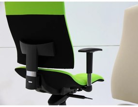 Zdravotní židle Steel Standard+, bílá