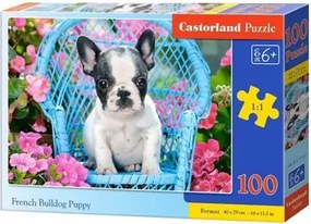 Castorland 111152 Štěně francouzského buldočka / 100 dílků / od 6 let