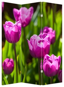 Paraván - Tulipány na louce (126x170 cm)
