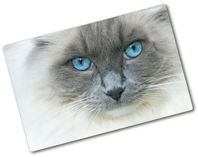 Wallmuralia Kuchyňská deska skleněná Kočka modré oči 80x52 cm