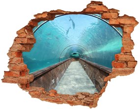 Wallmuralia Fototapeta díra na zeď 3D Tunel akvárium 90x70 cm