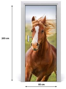 Samolepící fototapeta na dveře Kůň ve cvalu 85x205 cm