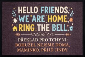 Mercury Flooring, Rohožka HELLO FRIENDS 40x60 cm - na ven i na doma, 40x60, šedá