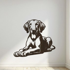 dřevo života Dřevěná dekorace psa Vizsla Zvolte rozměr (cm): 60x54, Zvolte barvu dekoru: Wenge