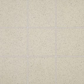Rako Taurus Granit TAA11061 dlažba 9,8x9,8 tmavě béžová 8 mm ABS 1,1 m2