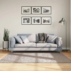 Koberec Pamplona S Vysokým Vlasem Moderní Béžový Béžová - 160 x 160 cm