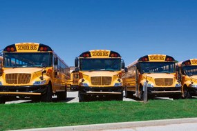 DIMEX | Samolepicí vliesová fototapeta na zeď Řada školních autobusů MA-5-2717 | 375 x 250 cm | zelená, modrá, žlutá