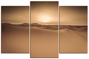 Obraz na plátně - Pouště Sahara 1131FC (105x70 cm)
