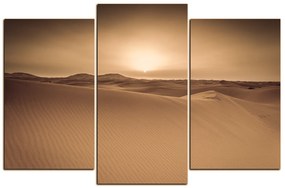 Obraz na plátně - Pouště Sahara 1131FC (150x100 cm)