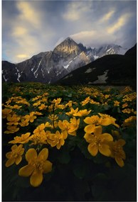 Filip Hrebenda | The High Tatras Rám: Černý, Velikost: 40 x 30 cm