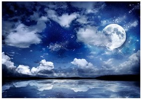 Samolepící fototapeta - Kouzelné noční nebe 441x315